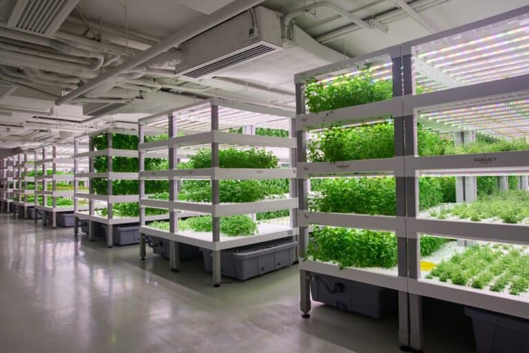 OUR NEWS - Farmacy